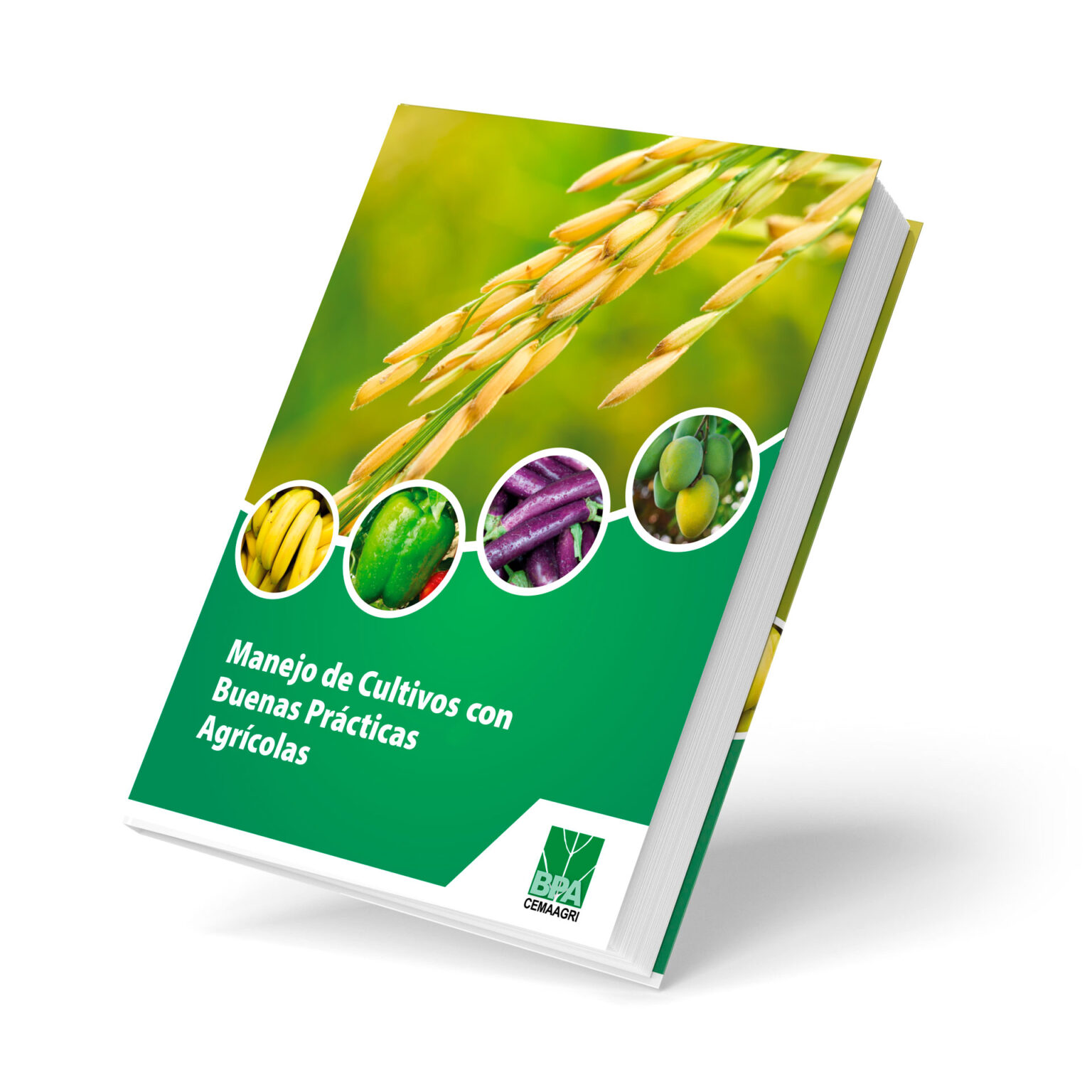 Buenas Practicas Agricolas - Cemaagri
